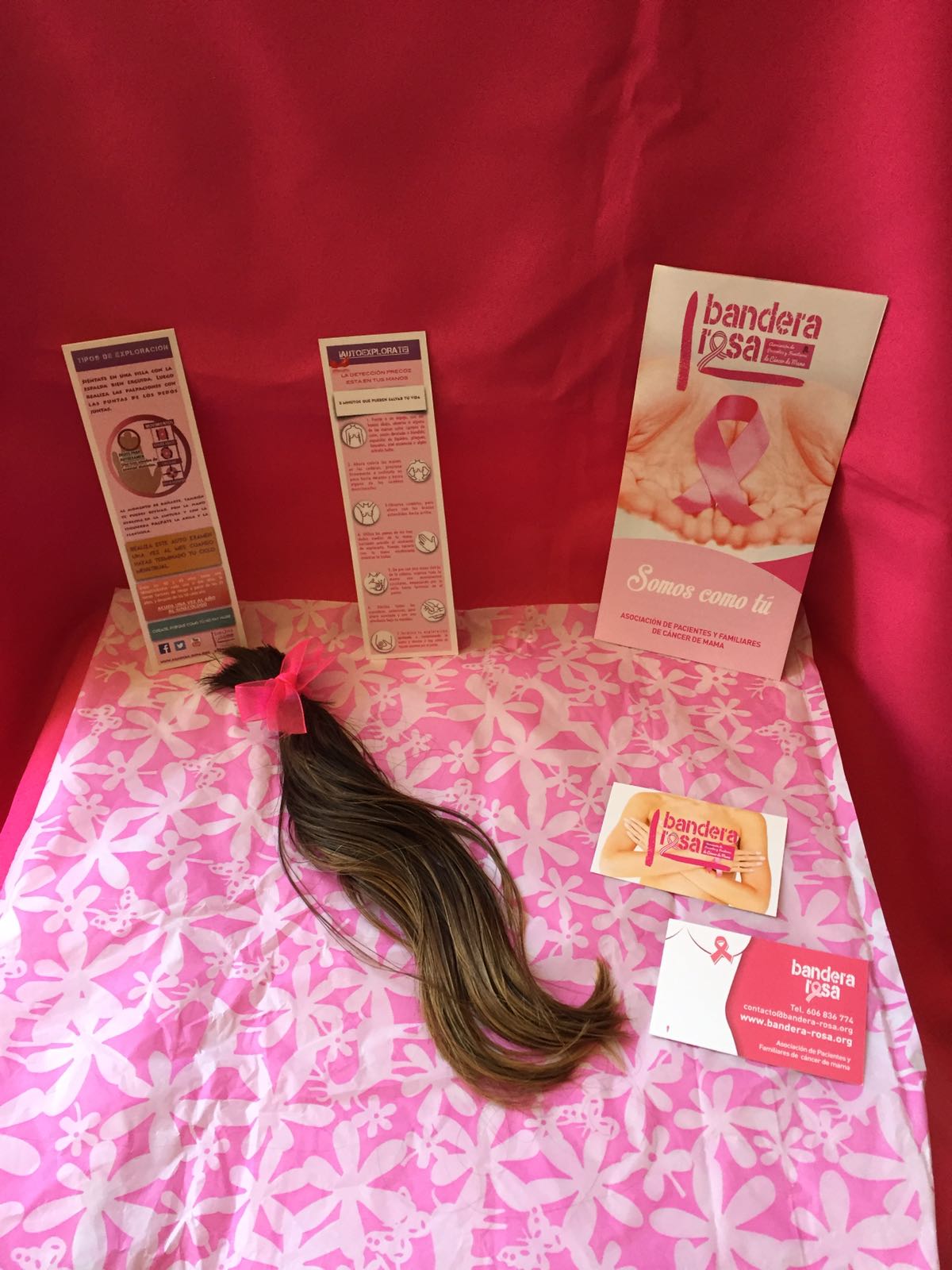 DONACION 8 MARZO 2017 - Bandera Rosa